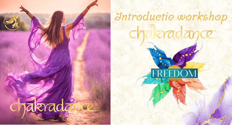 Introductie workshop Chakradance - Hipsy