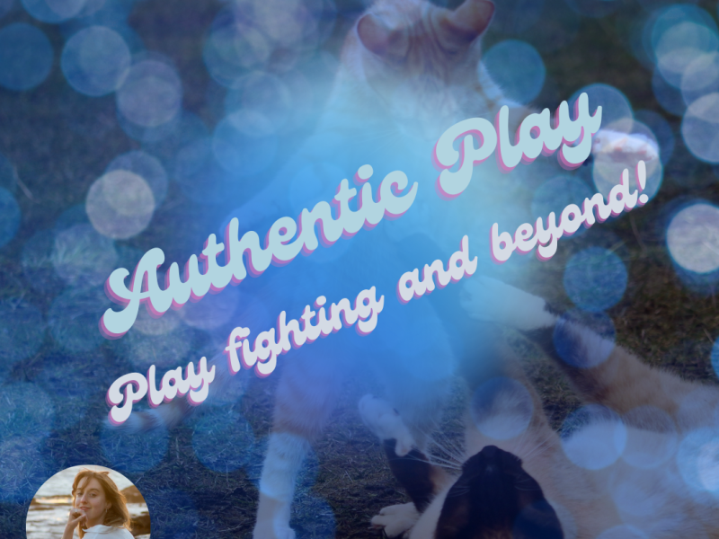 Authentic Play - play fighting and beyond! - Hipsy