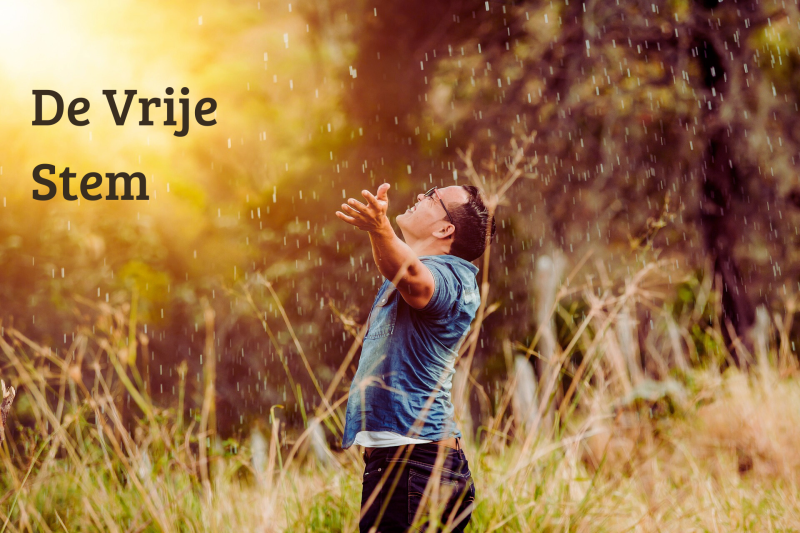 De Vrije Stem - Breda - Hipsy