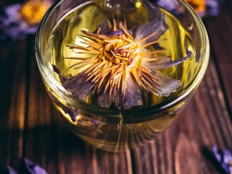 Leap x blauwe Lotus - Hipsy