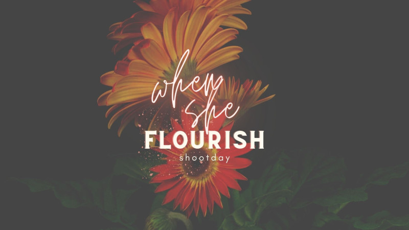 Branding Day | Jouw ceremonie in beeld door video + foto - Hipsy