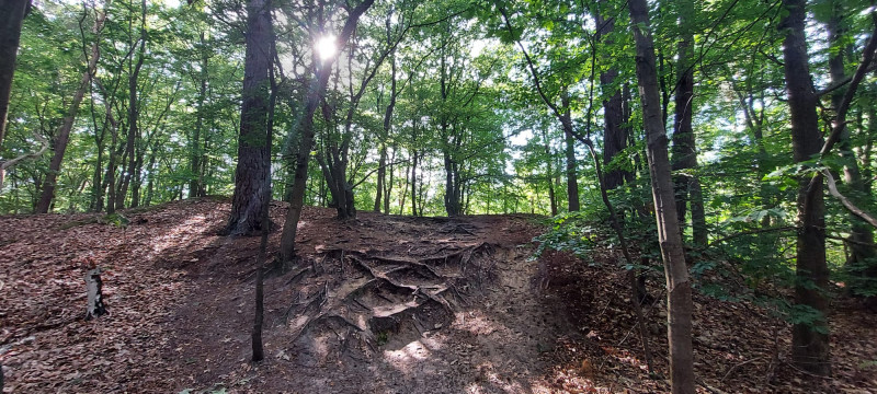 April bosbad - Hipsy