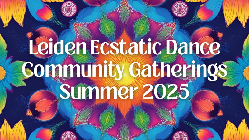 Community potluck diner in het park + muziek maken en acro jam - Hipsy