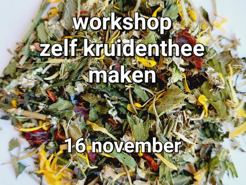 Workshop zelf kruidenthee maken - Hipsy