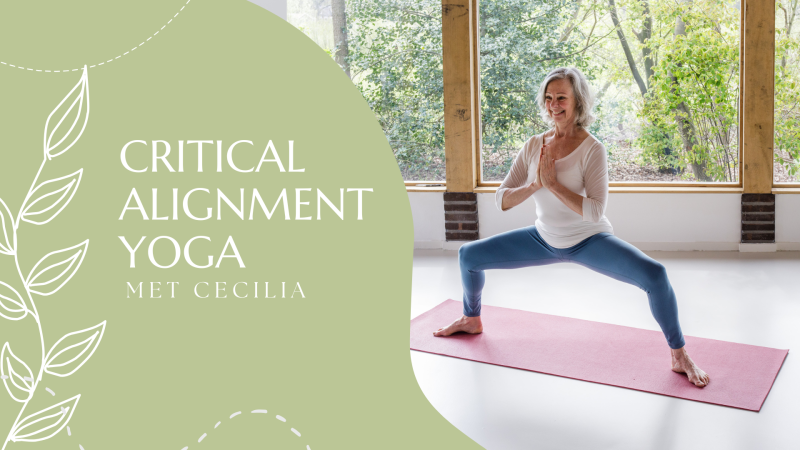 Workshop Critical Alignment Yoga (CAY) in Ommen - Hipsy