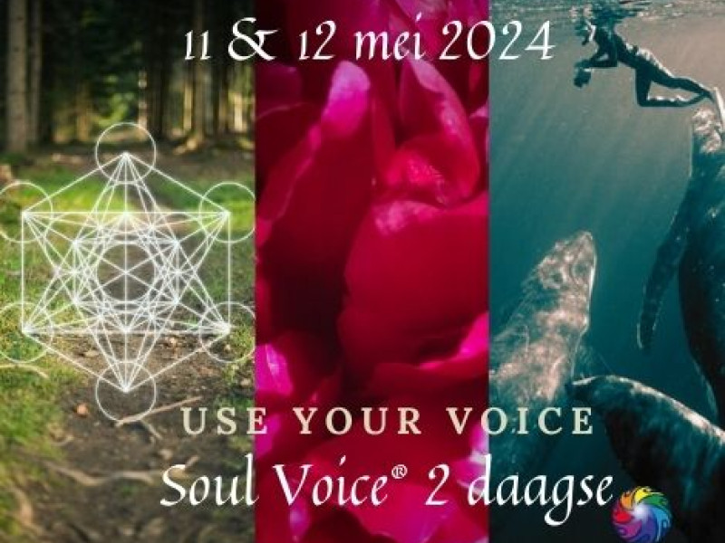Dé Soul Voice 2 daagse initiatie workshop - Hipsy