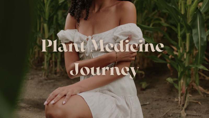 Psychedelic - Plant Medicine Journey - Hipsy