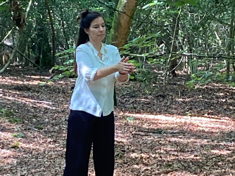 Chi kung online - Hipsy