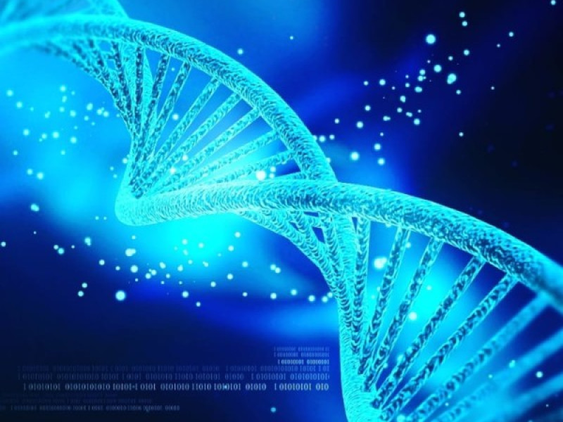 DNA, epigenetica en DNA Zelf-Healing - Hipsy