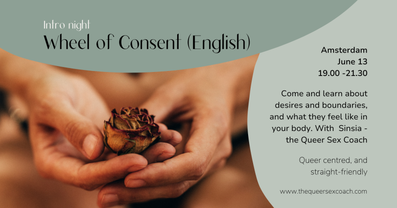 Intro night Wheel of Consent (English) - Hipsy