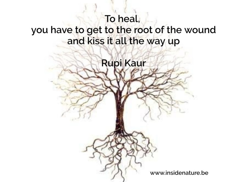 Opstellingsdag Roots & Wings - Hipsy