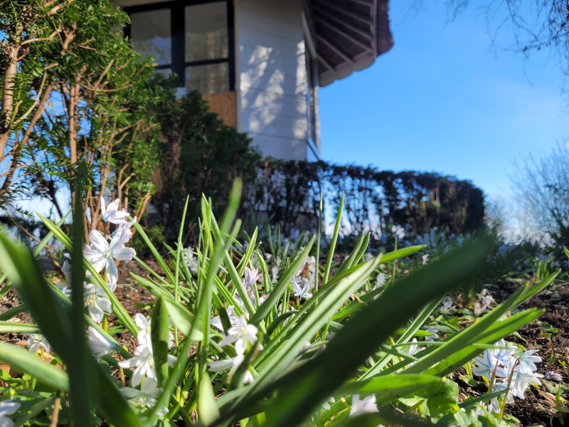 Het 6 juli bosbad op Buitenplaats de Tempel - Hipsy