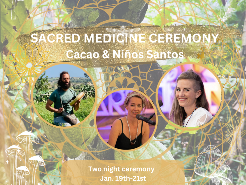 Sacred Medicine Ceremony - Hipsy