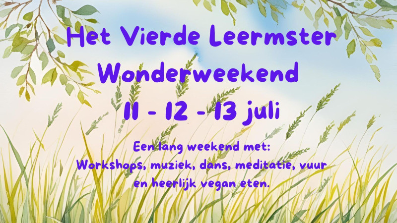 Leermster Wonder Weekend - Hipsy