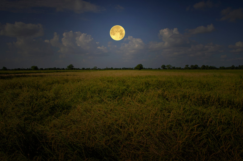 Full Moon Gathering - Hipsy