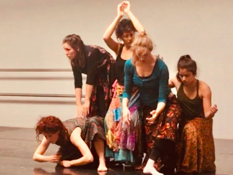 Magische dansreis - Hipsy