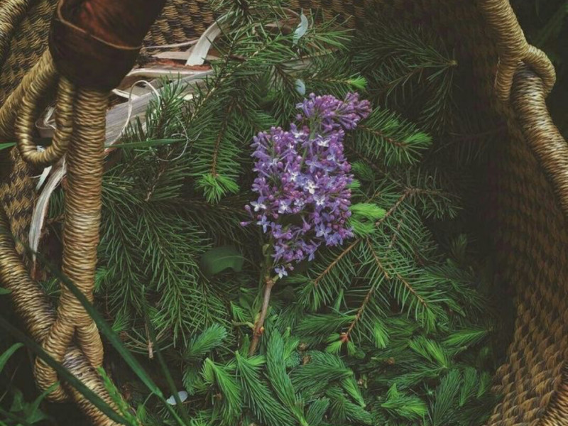 Het Wilde Weten - Hipsy