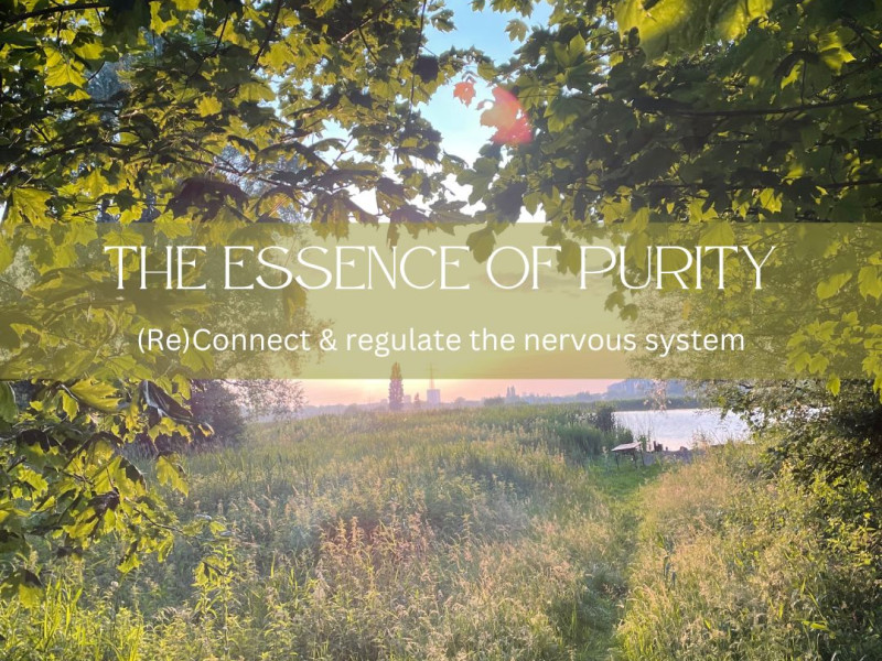 The Essence of Purity: (Re)Connect & regulate the nervous system - Hipsy