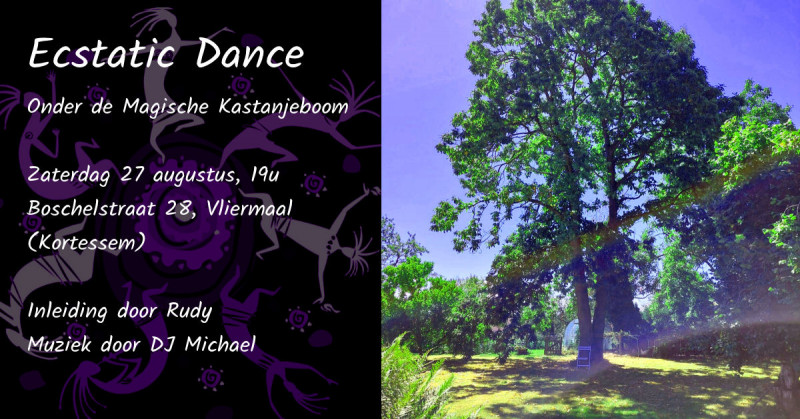 Ecstatic Dance onder de Magische Kastanjeboom - Hipsy