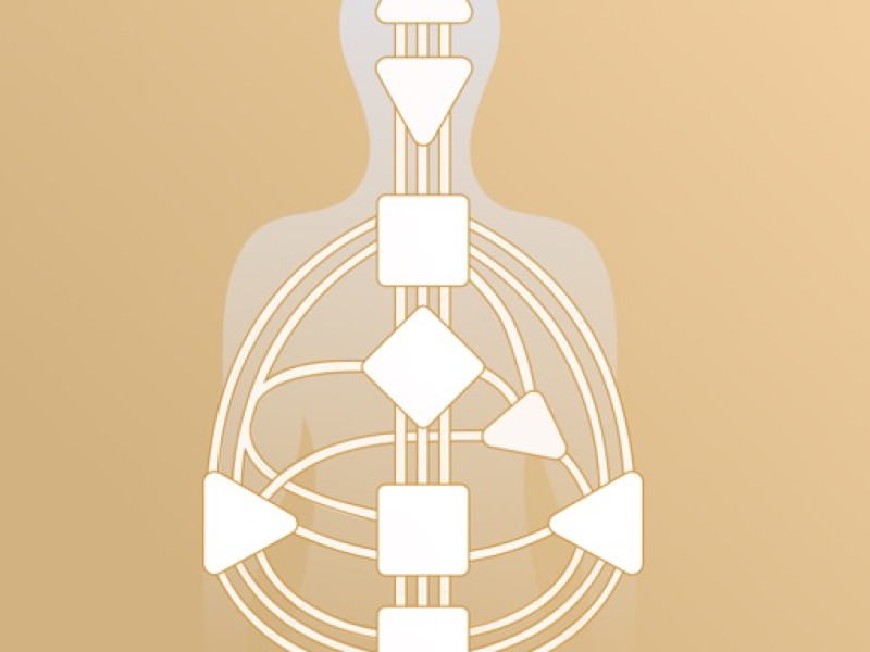 Kennis- studiegroep Human Design Blauwdruk - Hipsy