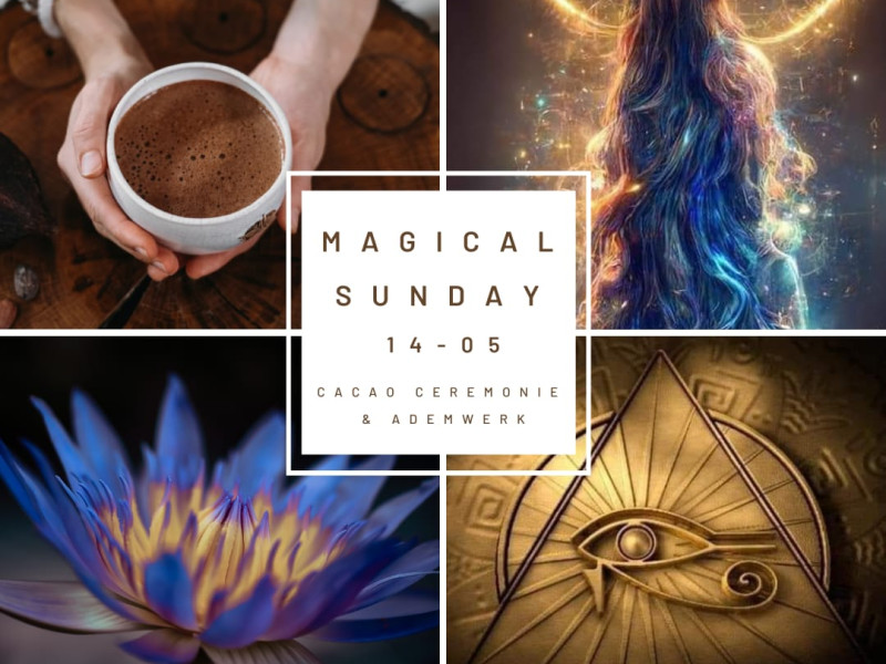 Magical Sunday Cacao Ceremonie met Ademwerk in Amsterdam - Hipsy