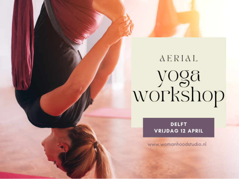 Aerial Yoga Basic Workshop - Hipsy