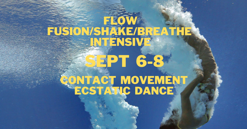 🔥 Ignite Your Dancing Avatar:3-Day Healing Dance Retreat - Hipsy