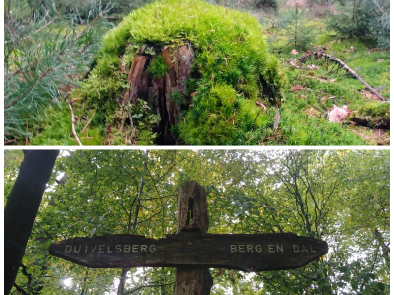 Bosbaden op de stuwwal, Berg en Dal. - Hipsy