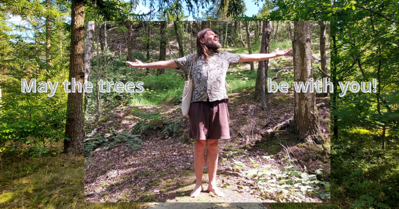 May the trees be with you - natuurverbindingsdagen - Hipsy