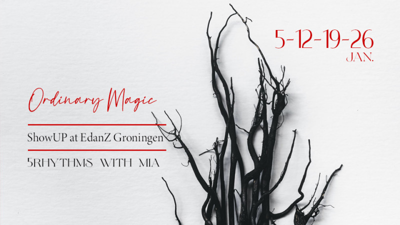 ShowUP: Ordinary Magic - Hipsy