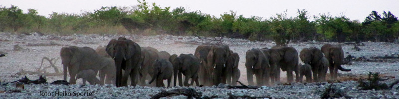 (familie)opstellingendag: alle vragen zijn welkom - Hipsy