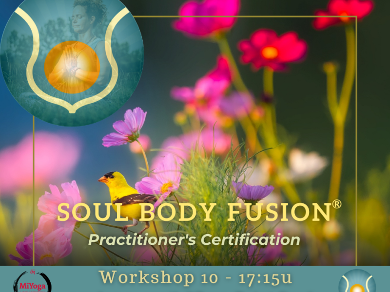 Soul Body Fusion® Practitioner Workshop - Hipsy