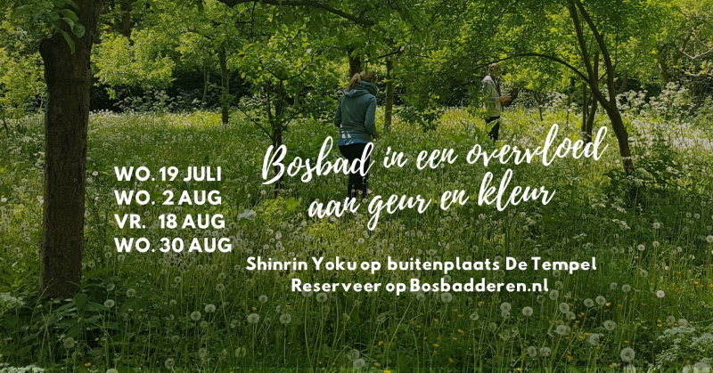 Bosbad op buitenplaats De Tempel - Hipsy