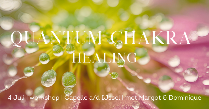 Quantum Chakra Healing - Hipsy