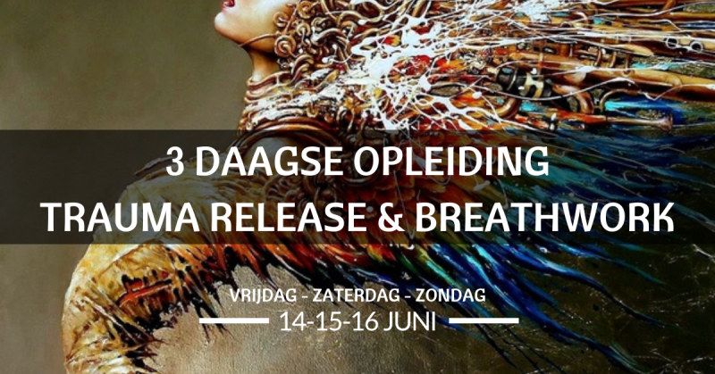 3 daagse opleiding Trauma Release & Breathwork - Hipsy