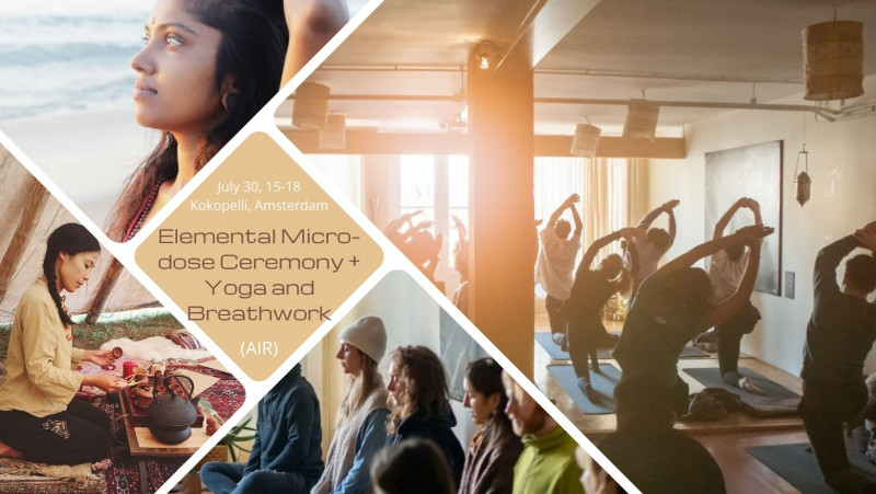 Elemental Micro-dose Tea Ceremony (Air) with Yoga/Breathwork - Hipsy