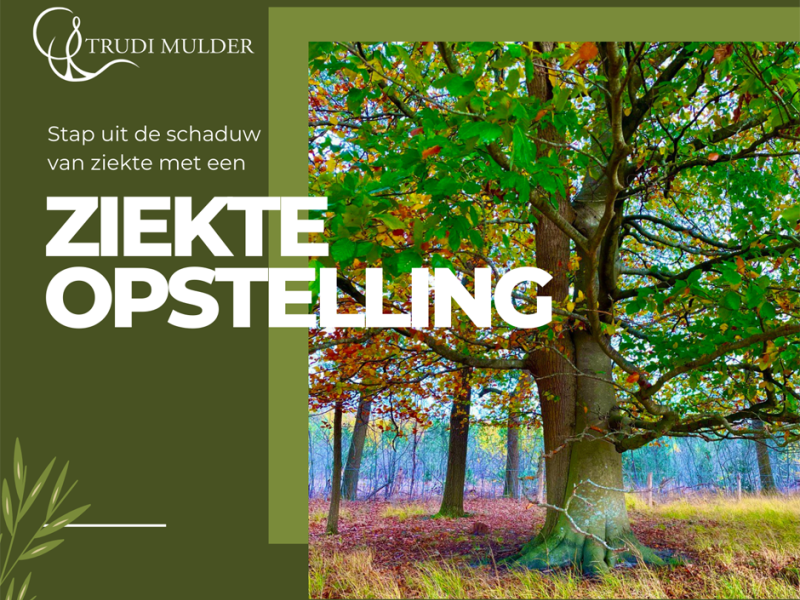 Ziekte opstelling - Hipsy