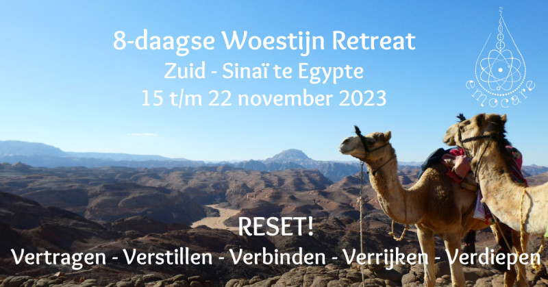 Woestijn Retreat Sinaï - RESET! - Hipsy