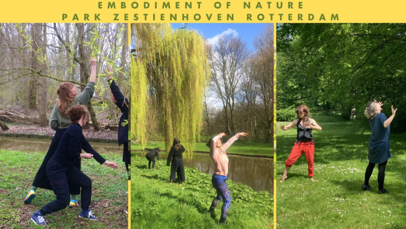 Dansexpressie in het park - Hipsy