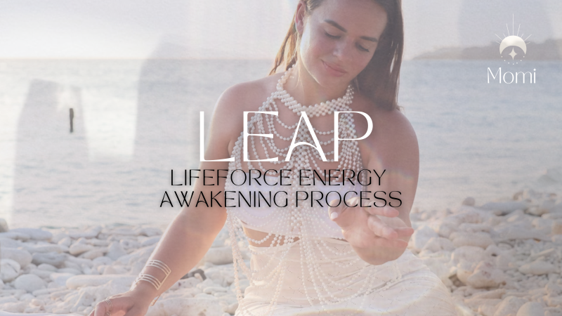 LEAP | Lifeforce Energy Awakening Process Leidschendam - Hipsy