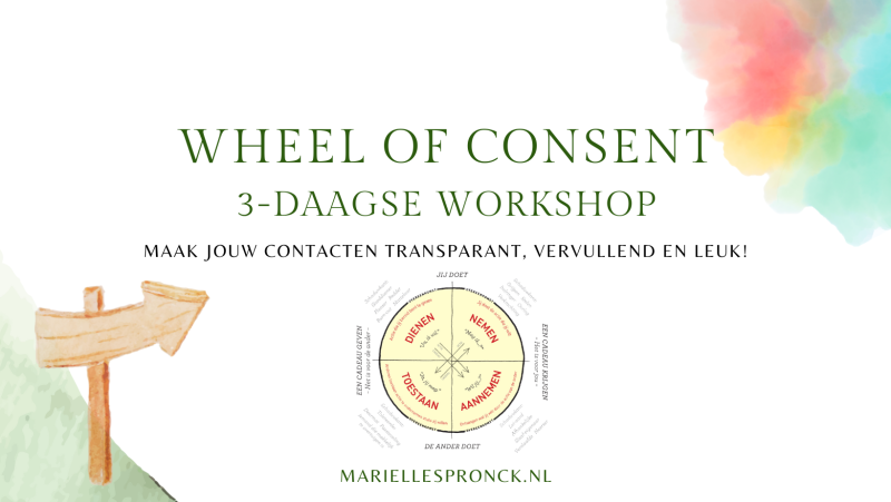 Wheel of Consent workshop - Hipsy