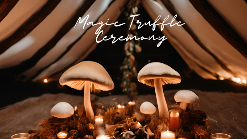 Magische Truffel Ceremonie - Hipsy