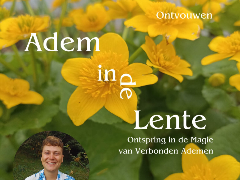Adem in de Lente - Hipsy