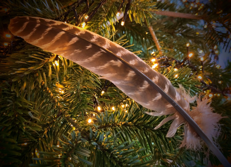 ADEMCIRKEL bij Ronse, dicht bij jezelf zijn - Hipsy