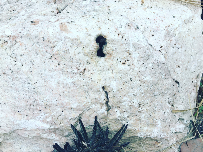 Leven met het Medicijnwiel - Rust, Ritme en Richting - Hipsy