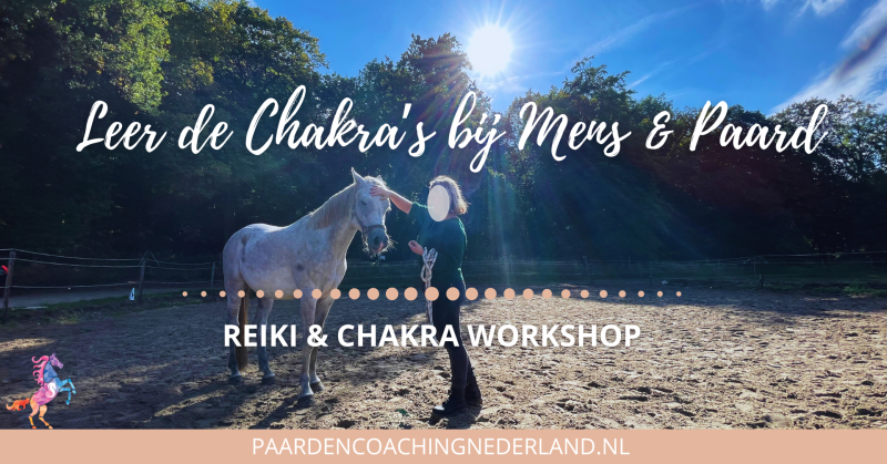 Ontdek de kracht van Chakra's en Reiki bij Mens & Paard | Workshop - Hipsy