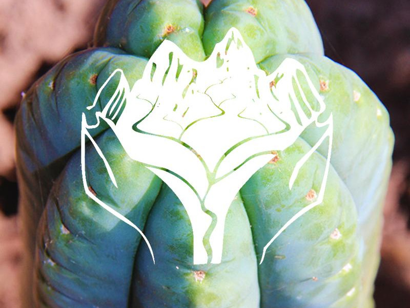 Wachuma ceremony met Peruaanse Maestro en Ademwerk - Hipsy