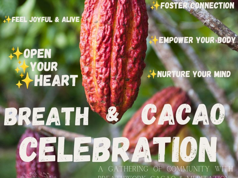 Adem & Cacao Festijn - Hipsy