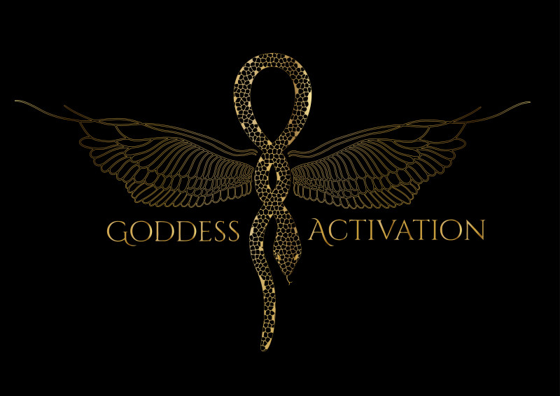 Website Launch Ceremony! - Hipsy