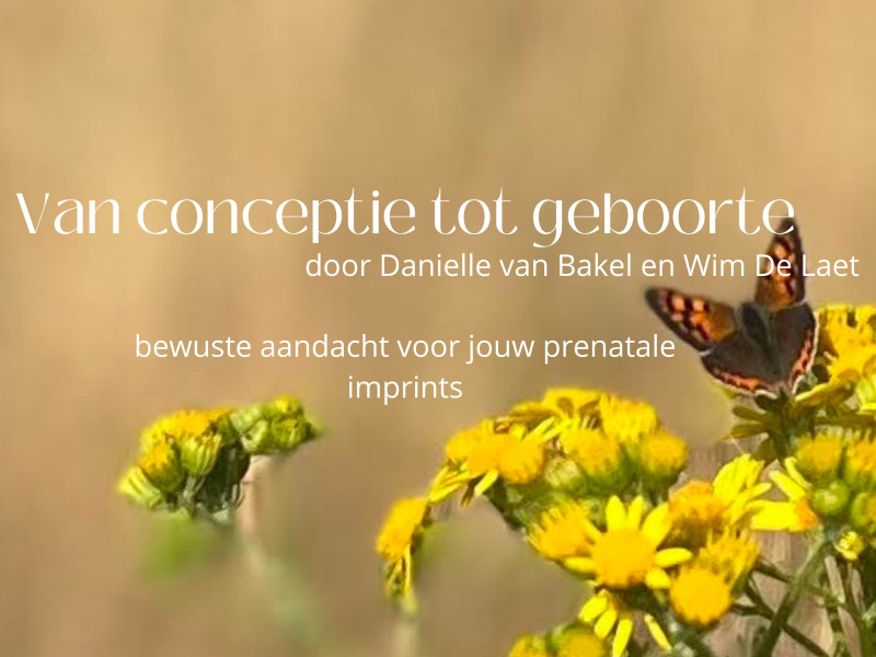 Introductiedag 'Van conceptie tot geboorte' - Hipsy